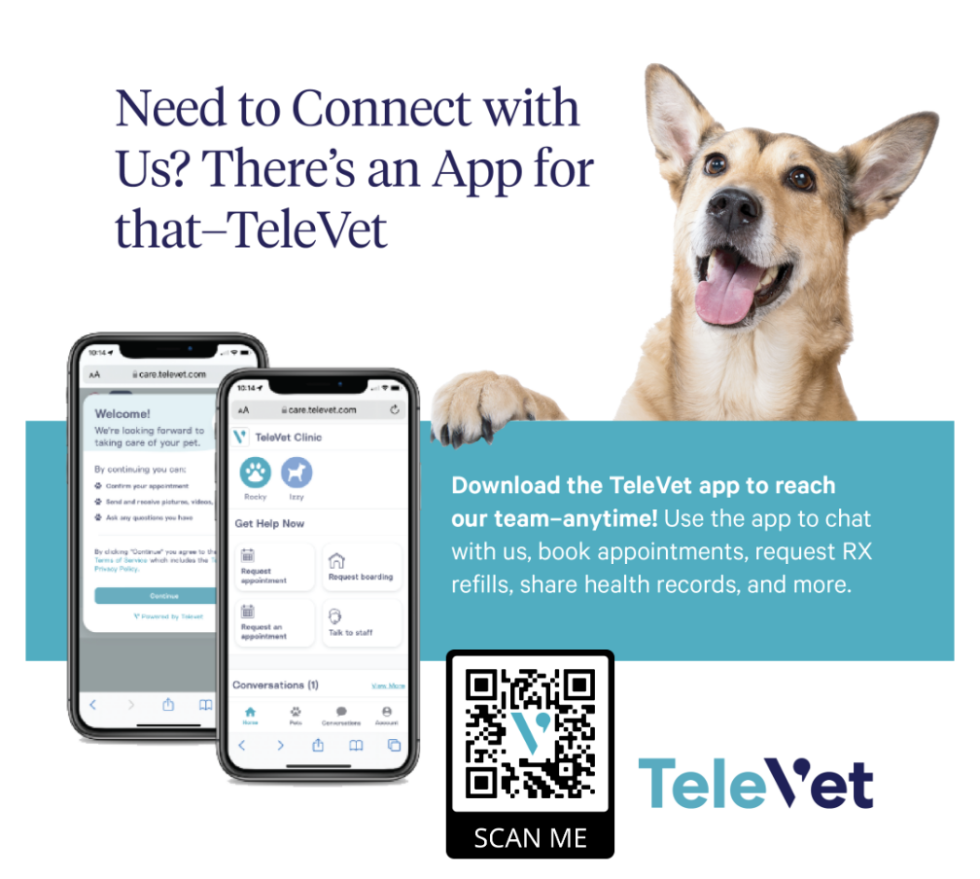 Rockford, IL 61112 Veterinarian and Animal Hospital - Perryville Pet ...